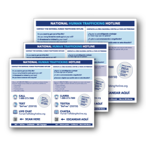 Human Trafficking Sign Package – 2 Clings and 1 Wall Sign