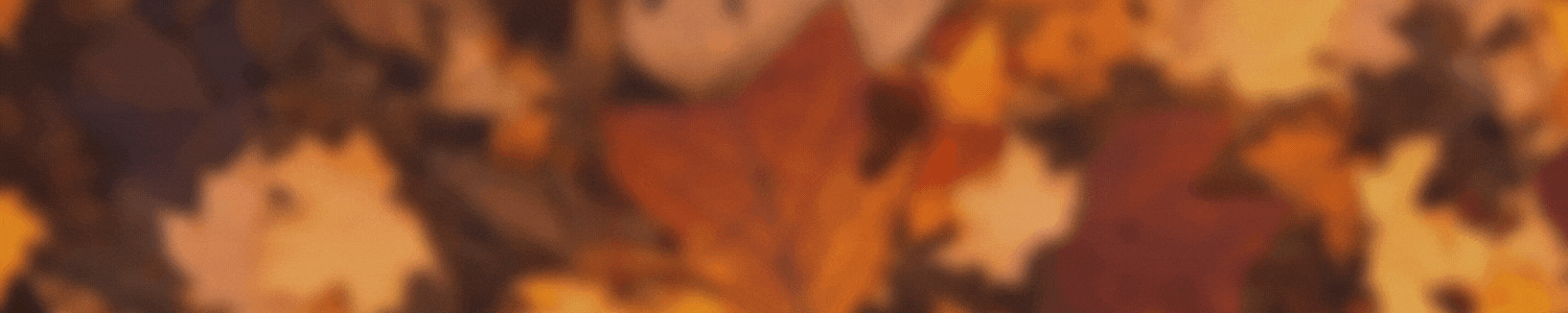 Comfort Inn Hotel Signs